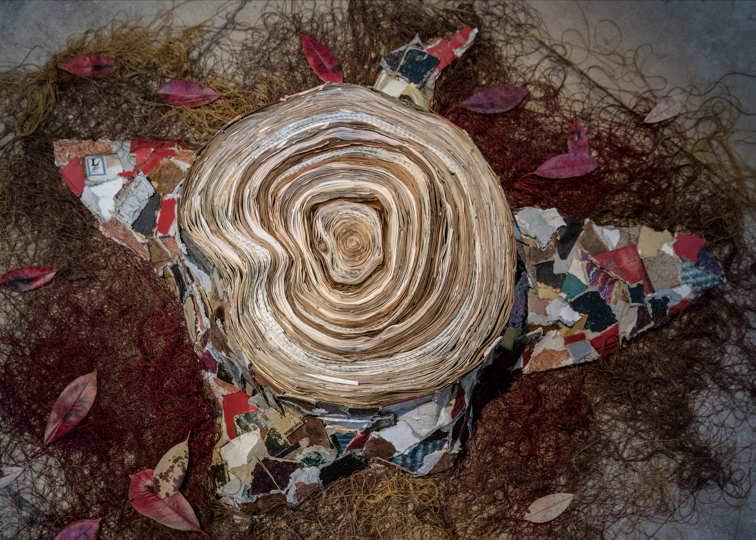 The Poetry of Earth… – Rachel Marks
